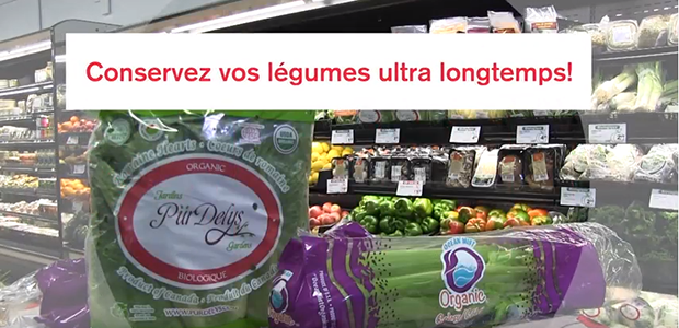 Conservez vos légumes ultra longtemps! – La Boite à Grains