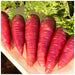 Organic Purple Dragon carrot – La Boite à Grains