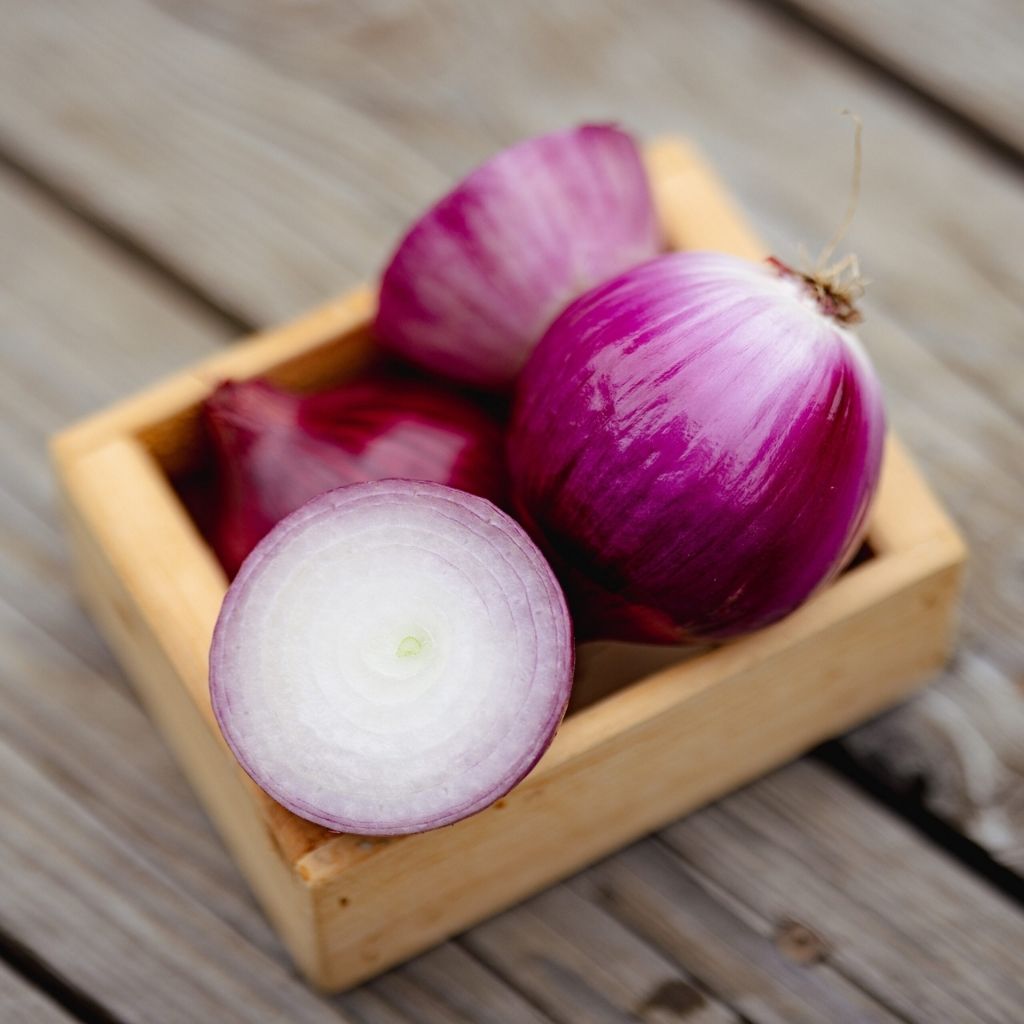 Oignon Ring Biologique – La Boite à Grains