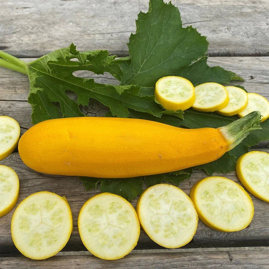 Organic Yellow Courgette – La Boite à Grains