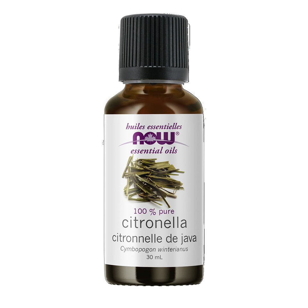 Java Citronella Essential Oil – La Boite à Grains