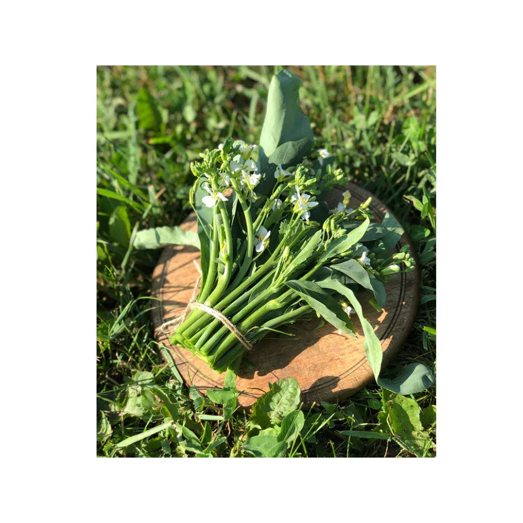 Broccoli Yod Fah Organic (Seeds) – La Boite à Grains